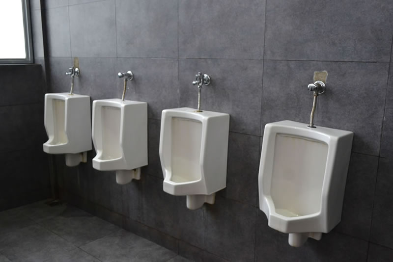 Facilities & Services